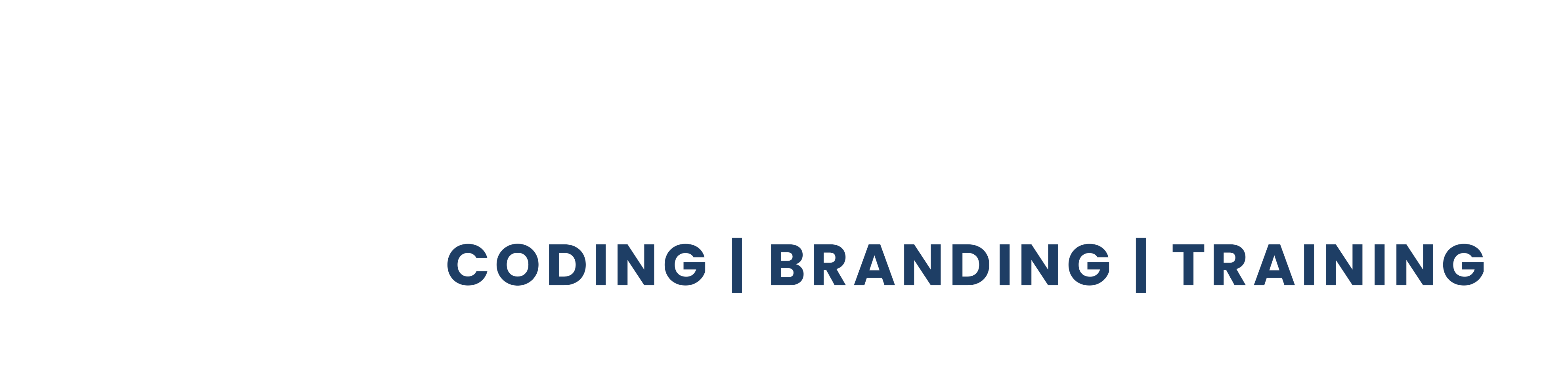 Leadership Team | Tech Veracity | Software trainings